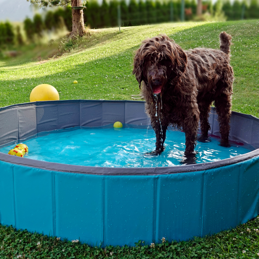 5 x betaalbaar zwembad bij Action voor iedere tuin